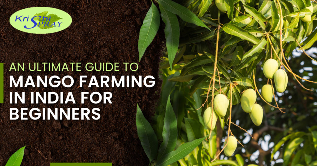 An Ultimate Guide to Mango Farming in India for Beginners